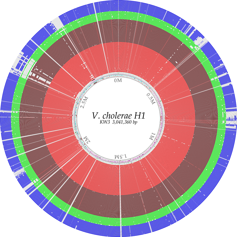 ArC-GEM – Arkansas Center for Genomic Epidemiology & Medicine